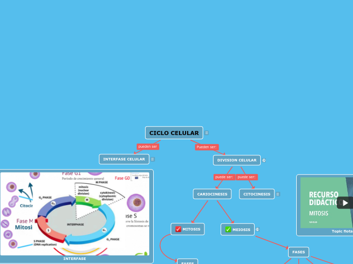 CICLO CELULAR - Mind Map